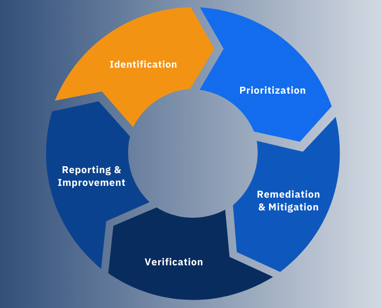Vulnerability Management: A Dive into the 5 Lifecycle Stages